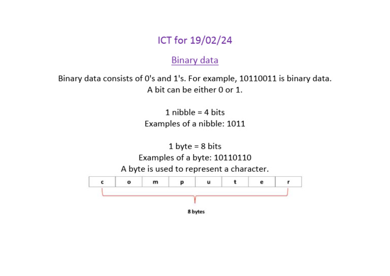 Binary Data | PDF