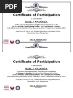 Certificate of Participation Template | PDF