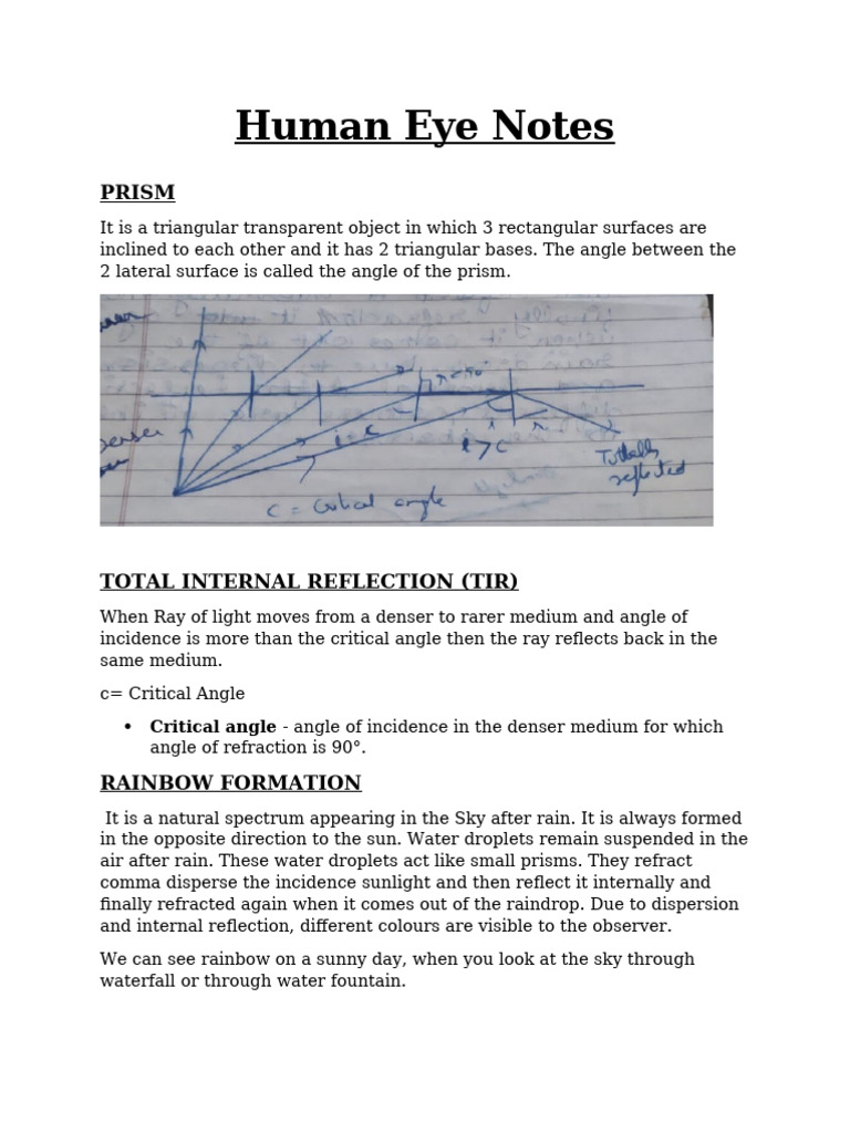 Human Eye Notes I | PDF
