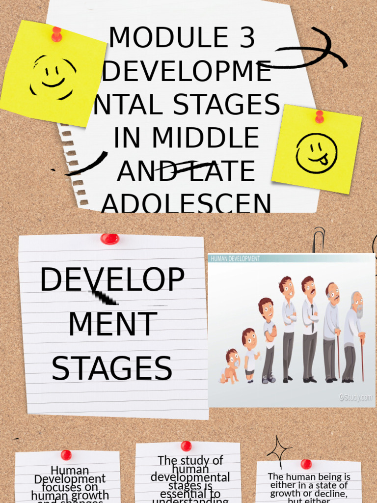 Perdev Module 3 | PDF