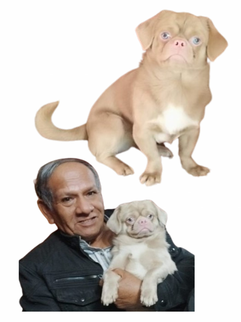 Documento A4 Cuaderno Azul Liso - 20240823 - 120109 - 0000 | PDF