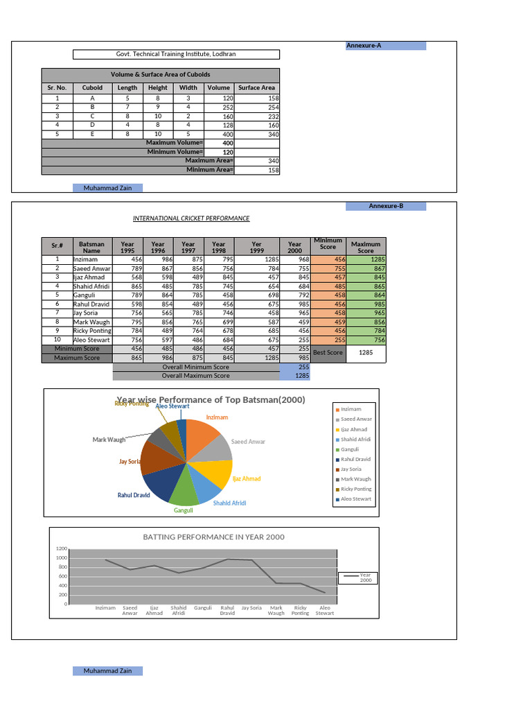 Muhammad Zain Spread-Sheet Assessment | PDF