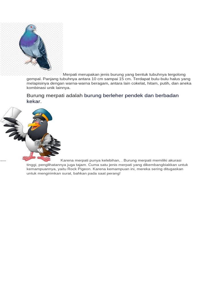 Merpati Merupakan Jenis Burung Yang Bentuk Tubuhnya Tergolong Gempal | PDF
