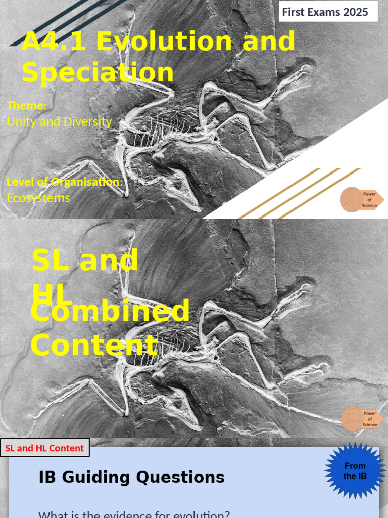 Evolution and Speciation | PDF | Ploidy | Evolution