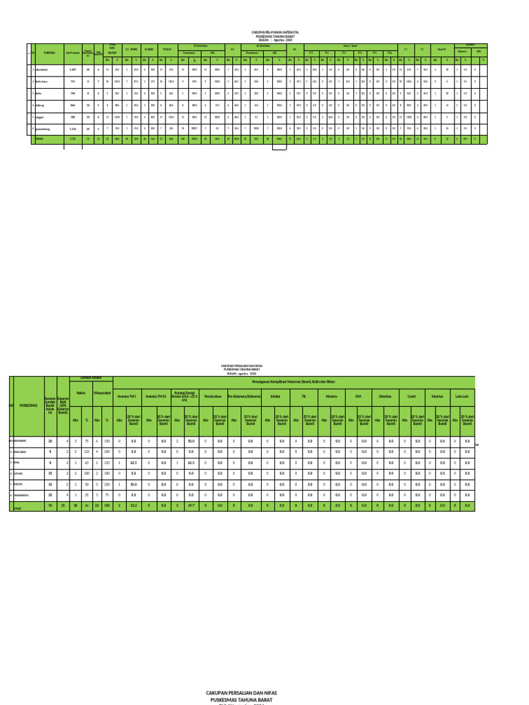 Lap Pws Kia PKM Tabar Bulan Agustus 2024 | PDF