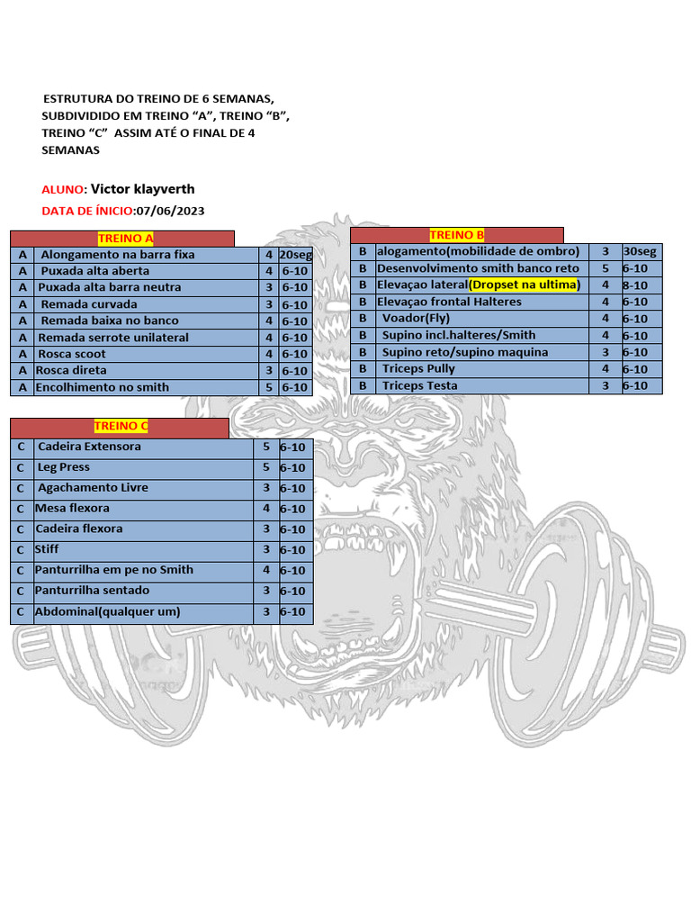 TREINO Victor Kavy | PDF