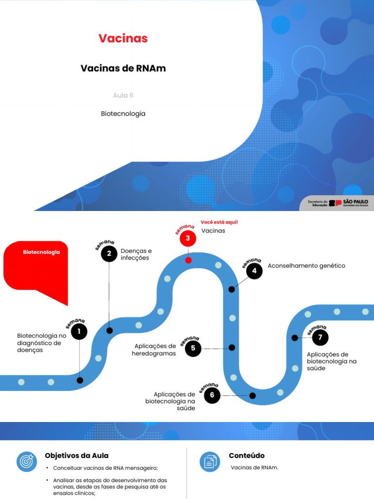 6 Vacinas Rnam | PDF