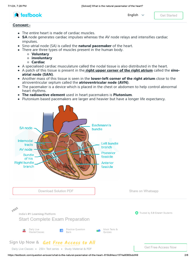(Solved) What Is The Natural Pacemaker of The Heart | PDF