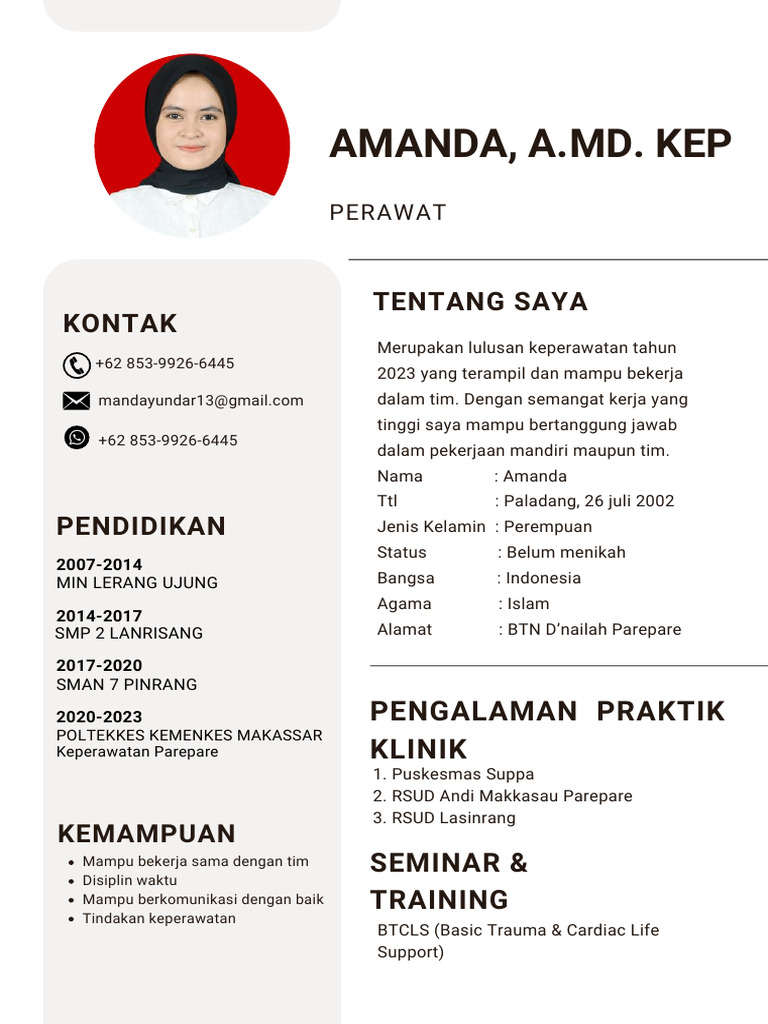 CV Amanda | PDF