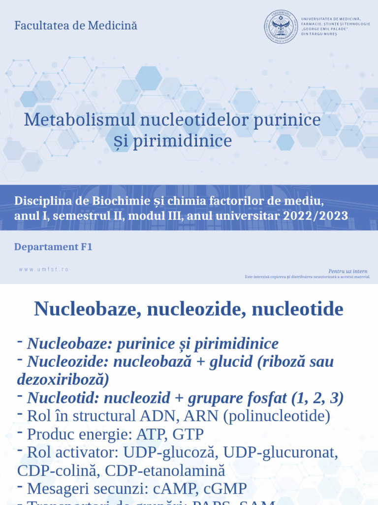 2023 Metabolismul Nucleotidelor Purinice Si Pirimidinice | PDF