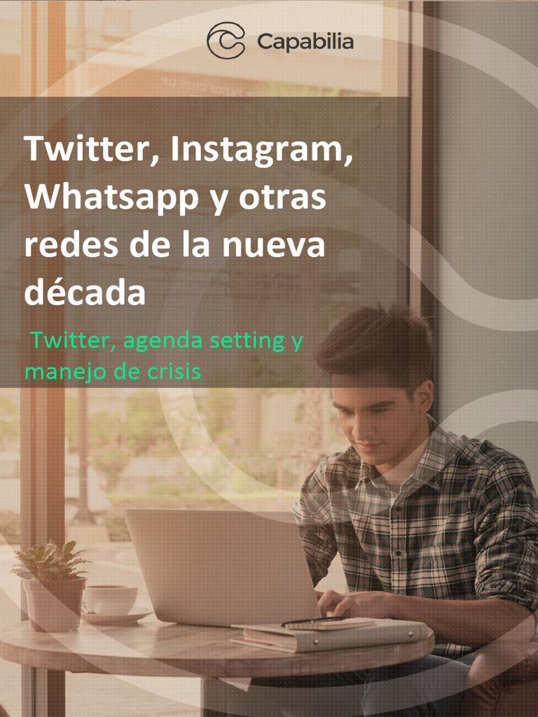 Tweeter | PDF