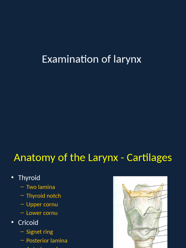 Larynx | PDF