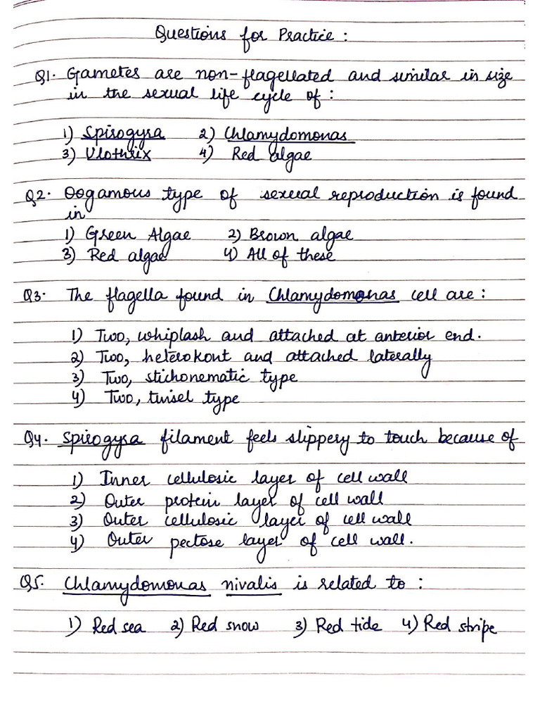 Plant Kingdom Assignment 1 | PDF