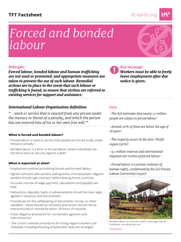 Forced Labour Factsheet | PDF