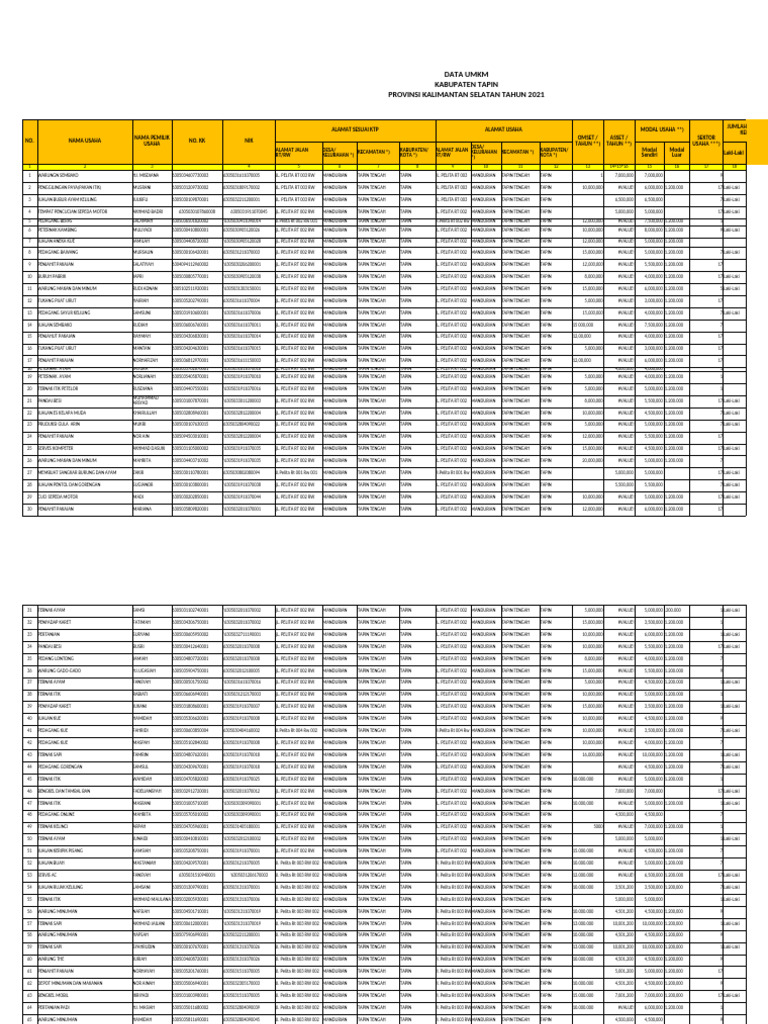 Format Data UMKM Desa Mandurian | PDF