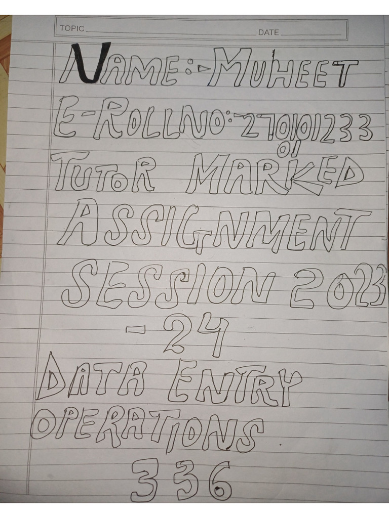 Data Entry Operation | PDF