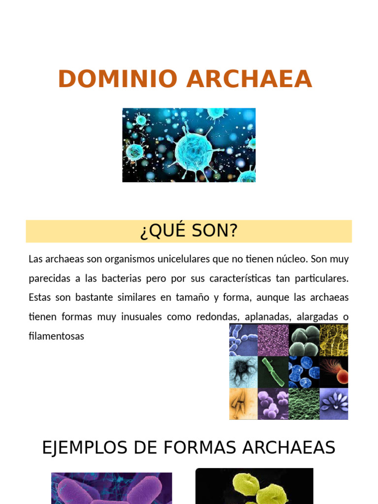 Dominio Archaea | PDF
