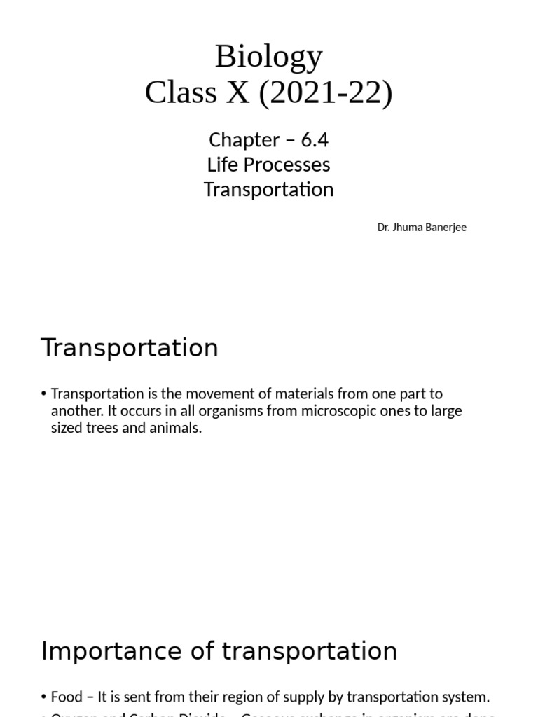 DR - Jhuma Banerjee X Science Chapter 6.4 | PDF