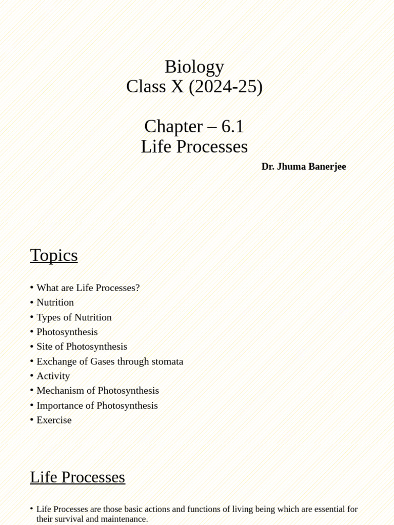 DR - Jhuma Banerjee X Science Chapter 6.1 1 | PDF