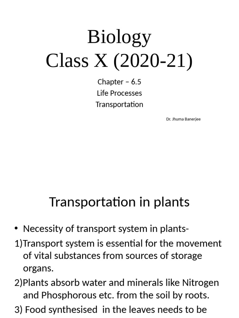 DR - Jhuma Banerjee X Science Chapter 6.5 | PDF