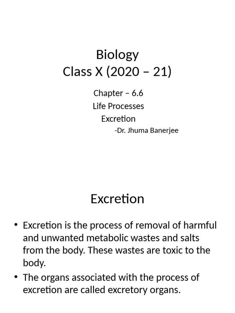 DR - Jhuma Banerjee X Science Chapter 6.6 | PDF