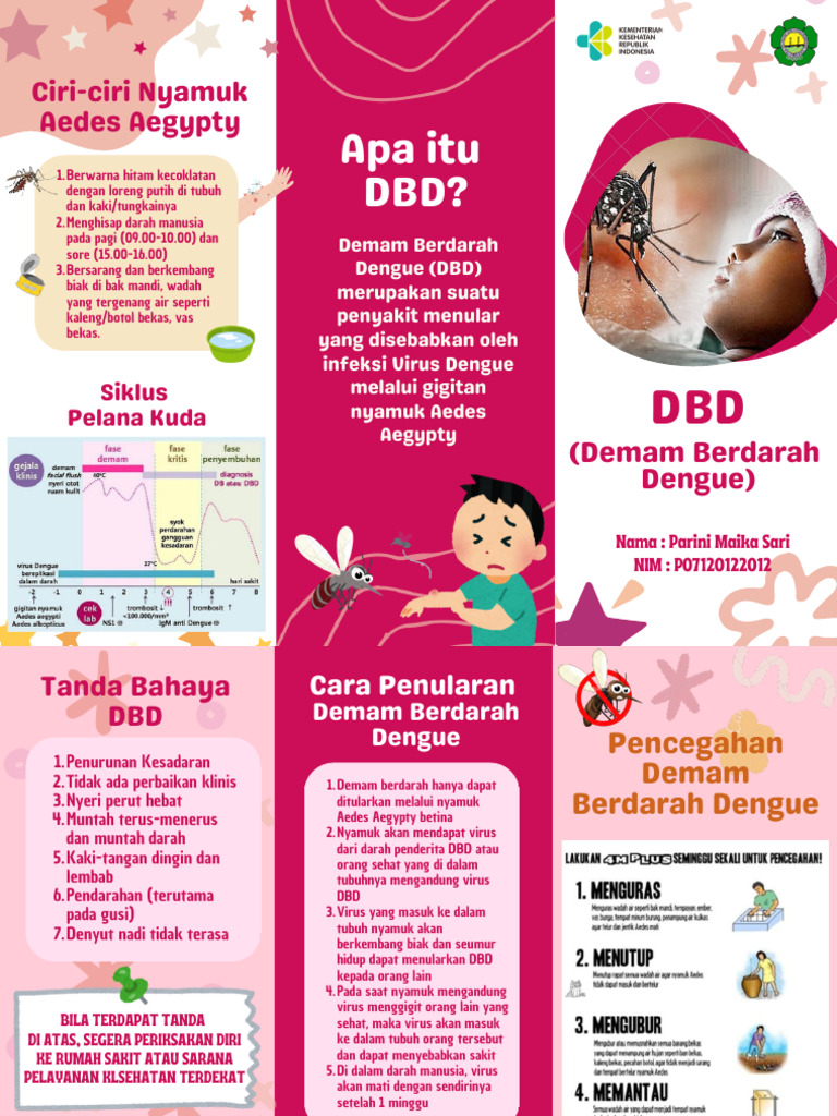 Leaflet DBD | PDF