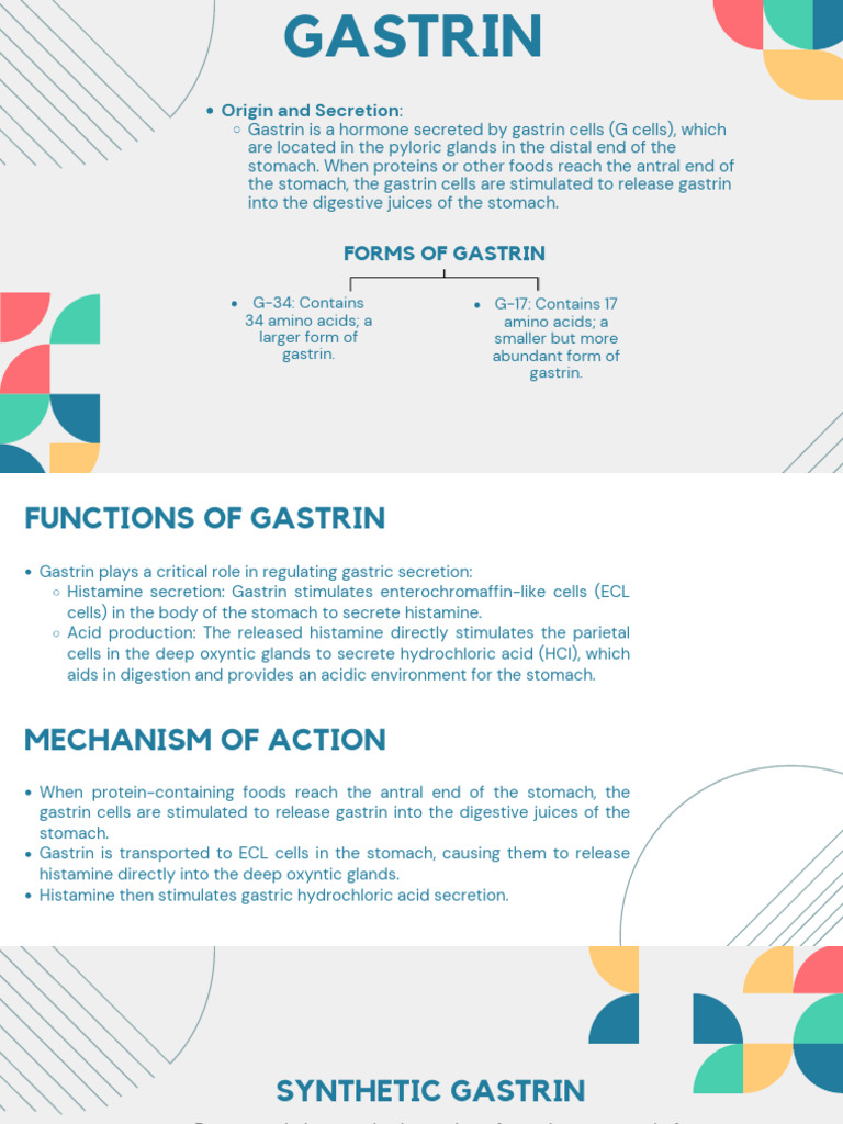 Gastrin | PDF