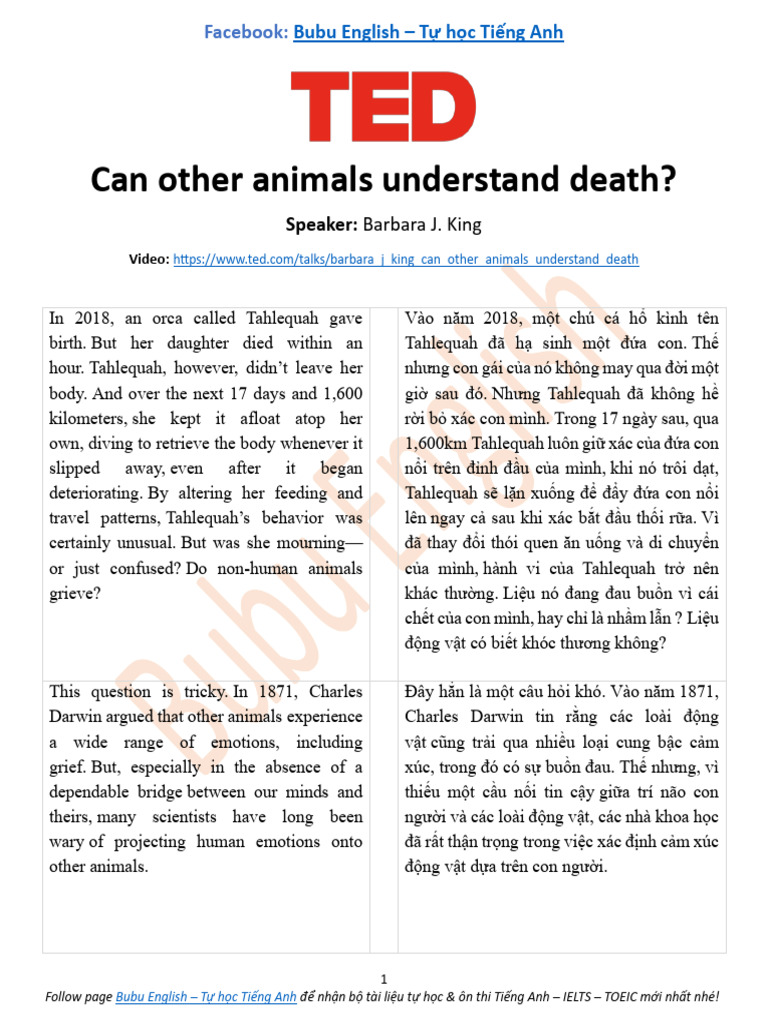 Can Other Animals Understand Death | PDF