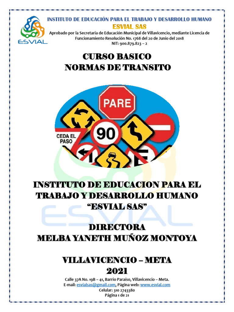 GUIA NORMAS DE TRANSITO | PDF