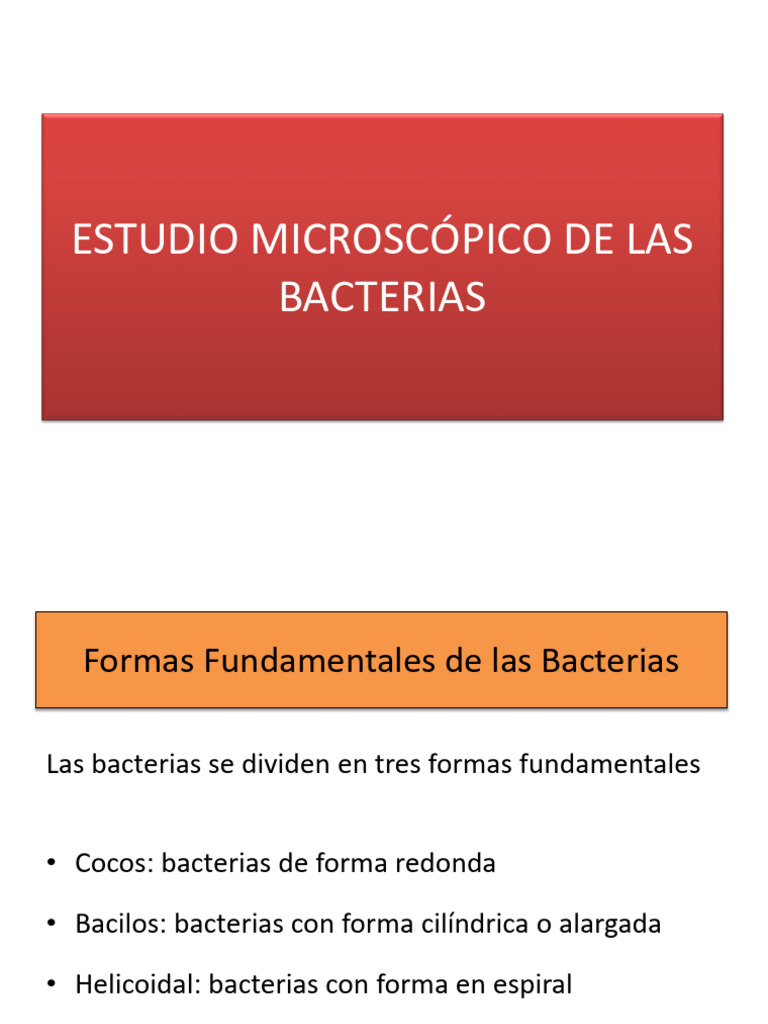 Estudio microscópico de las bacterias lab de microbiologia | PDF