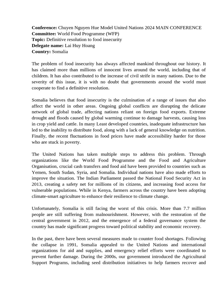 Somalia Position Paper | PDF