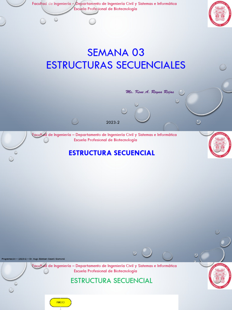 S03 Estructuras secuenciales | PDF