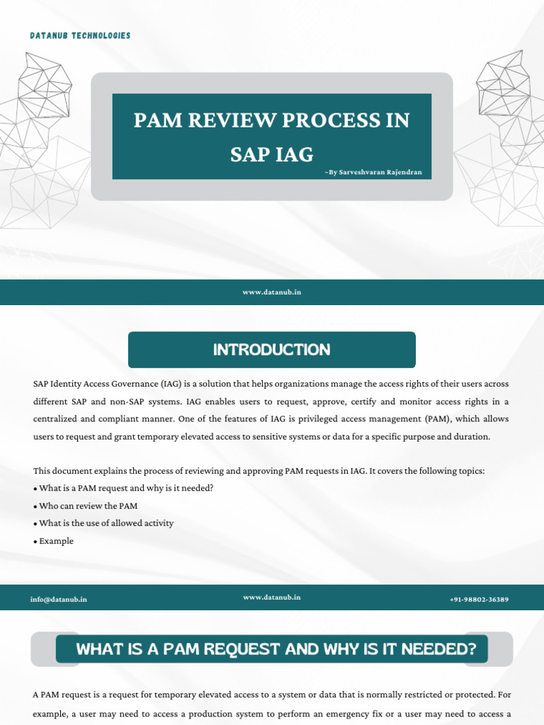 DataNub Technologies PAM Overview | PDF | Information Technology | Business