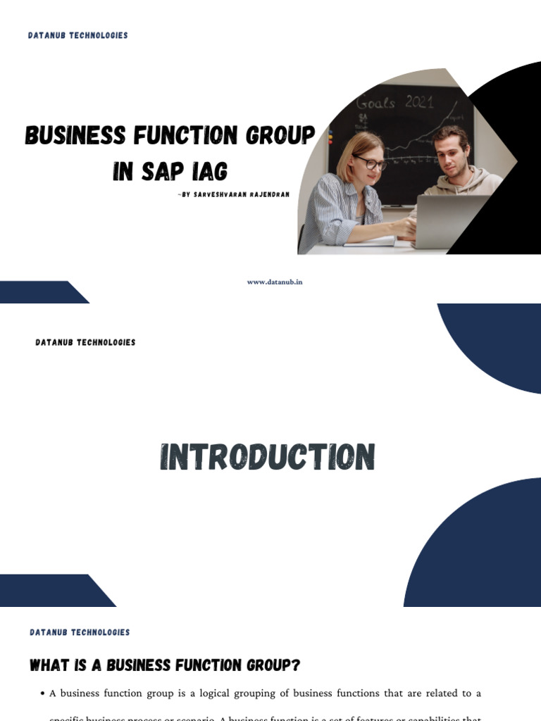 Business Function Group in SAP IAG | PDF | Computing | Business