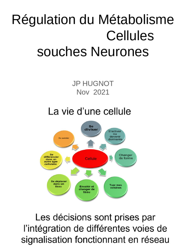 Cours 2 Rã©gulation Du Mã©tabolisme HAV519 Nov 2021 | PDF