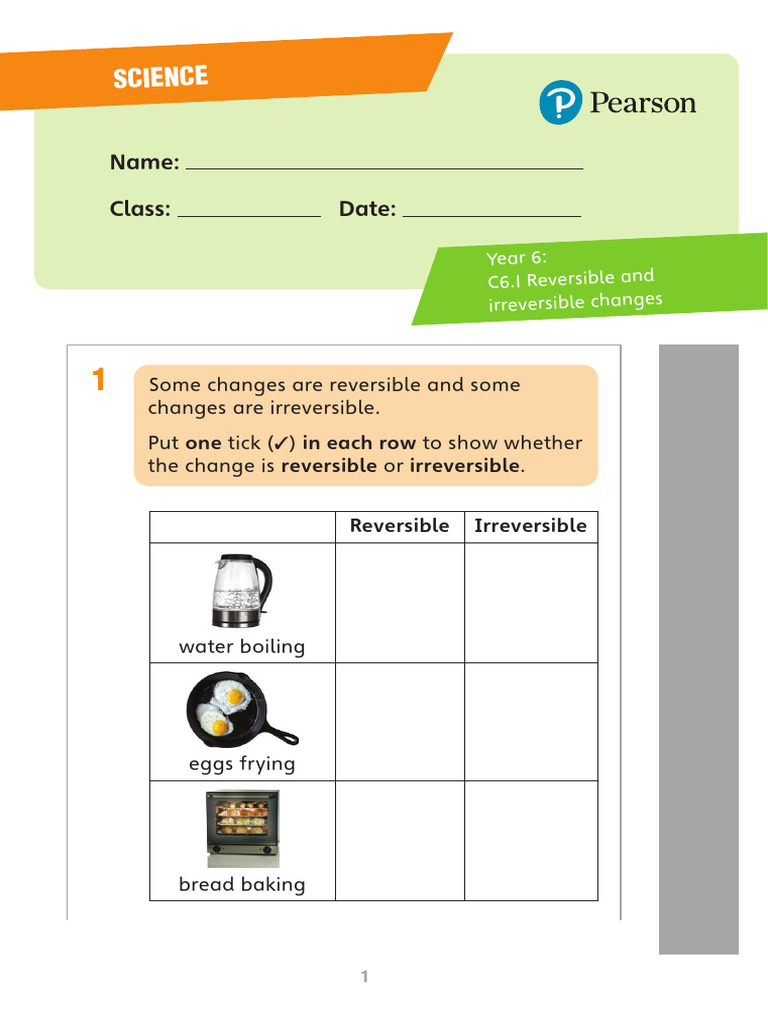 Ip PT Ip Science Y6 Ri Mg2020 | PDF