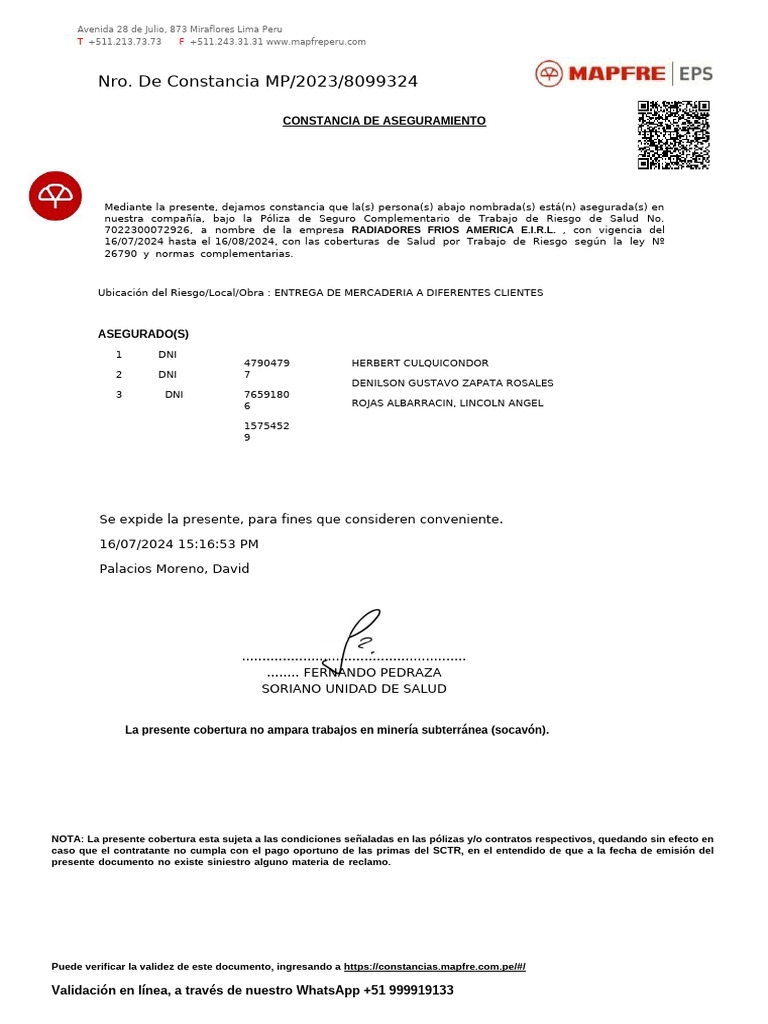 Formato SCTR America | PDF