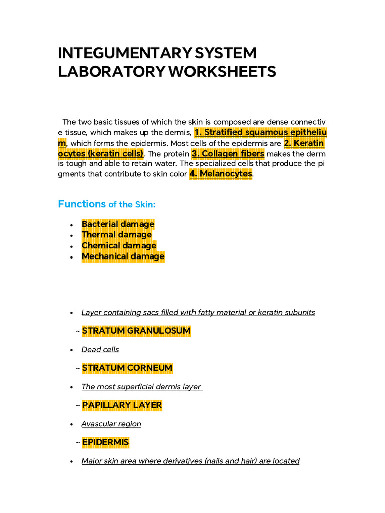 Integumentary System Laboratory Worksheets | PDF | Home & Garden