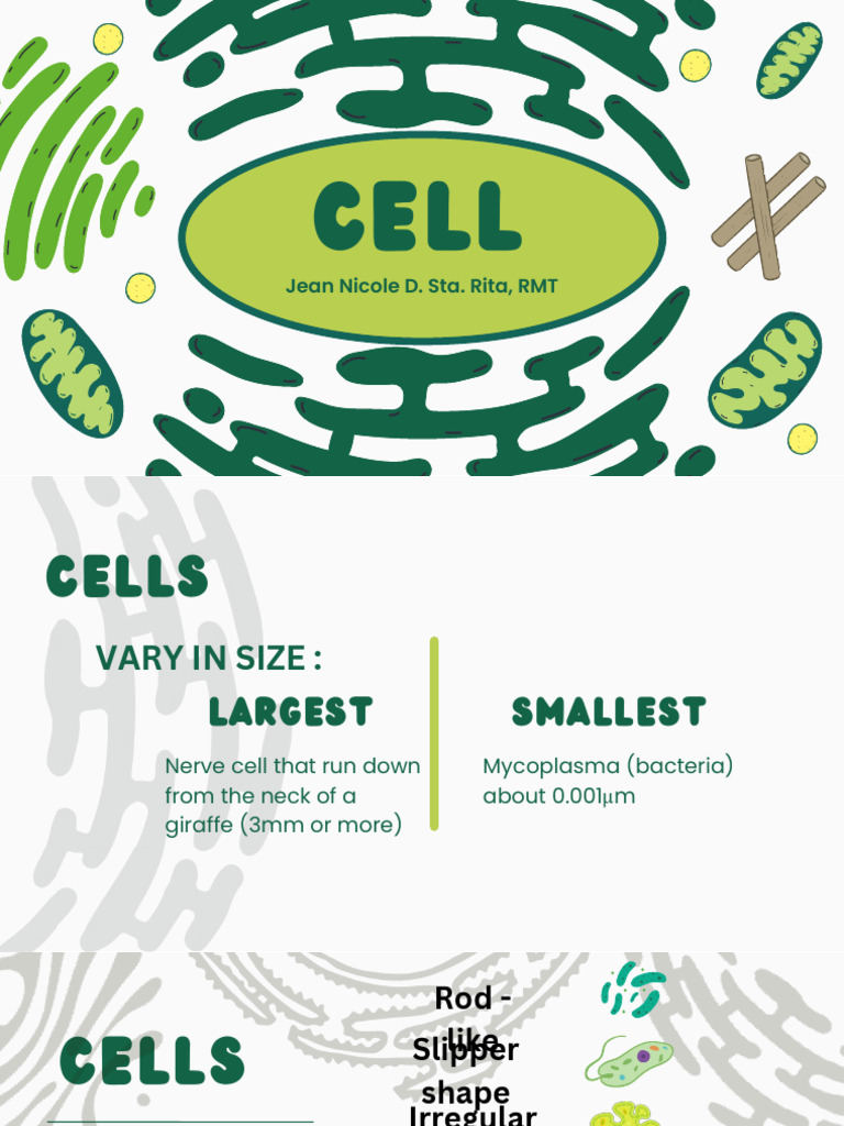 Cells | PDF