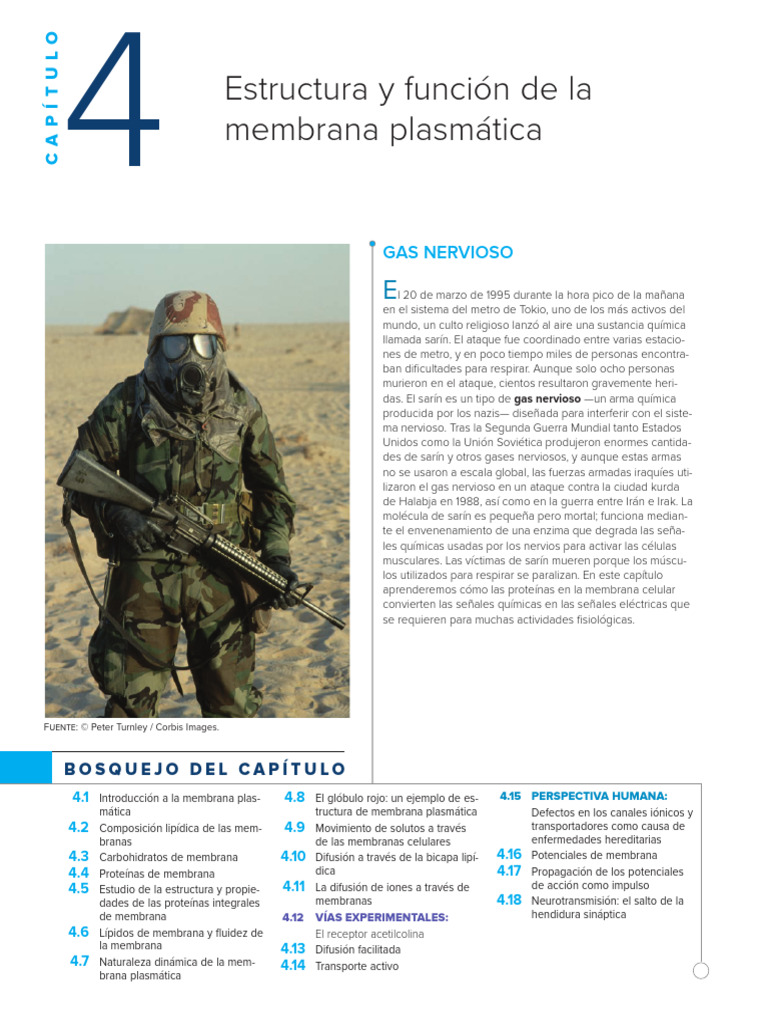 Capitulo 4 de Karp | PDF