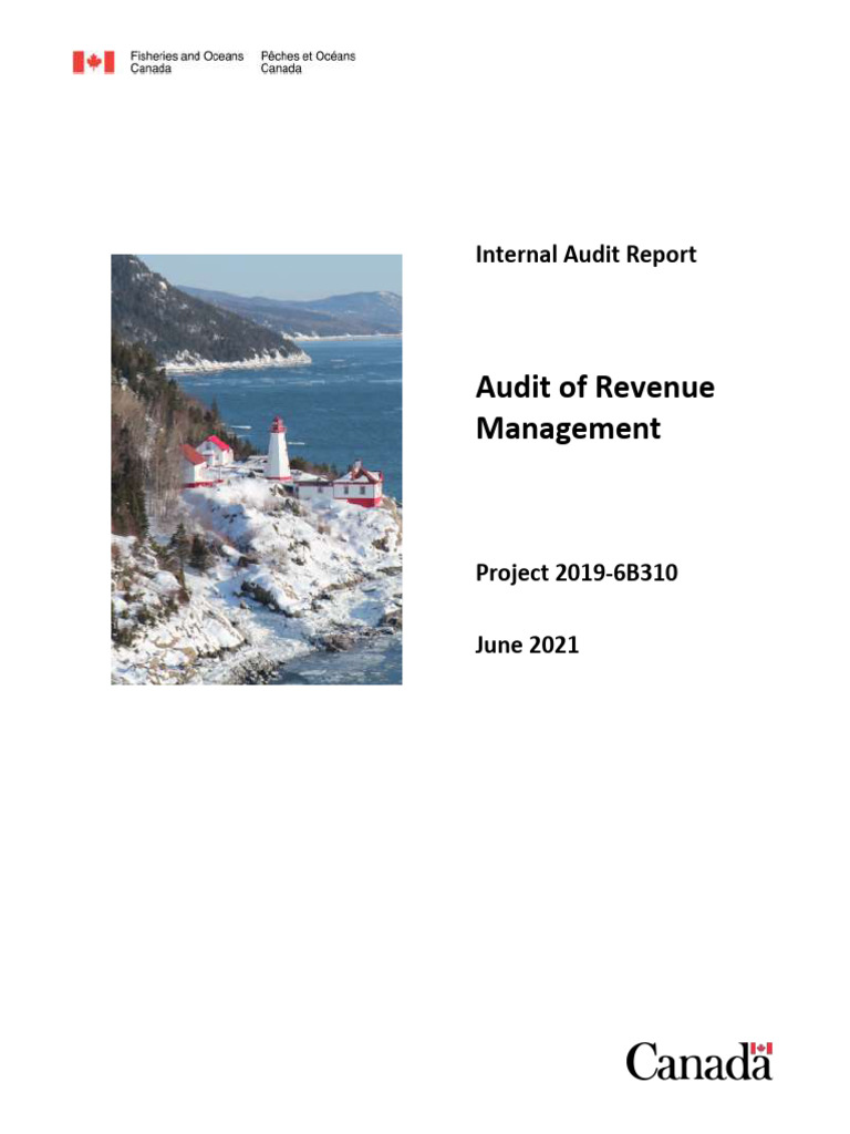 Audit of Revenue Management | PDF