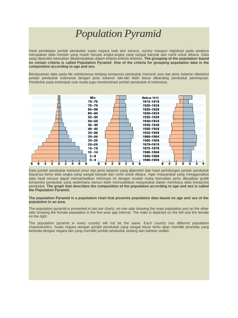 Population Pyramid | PDF