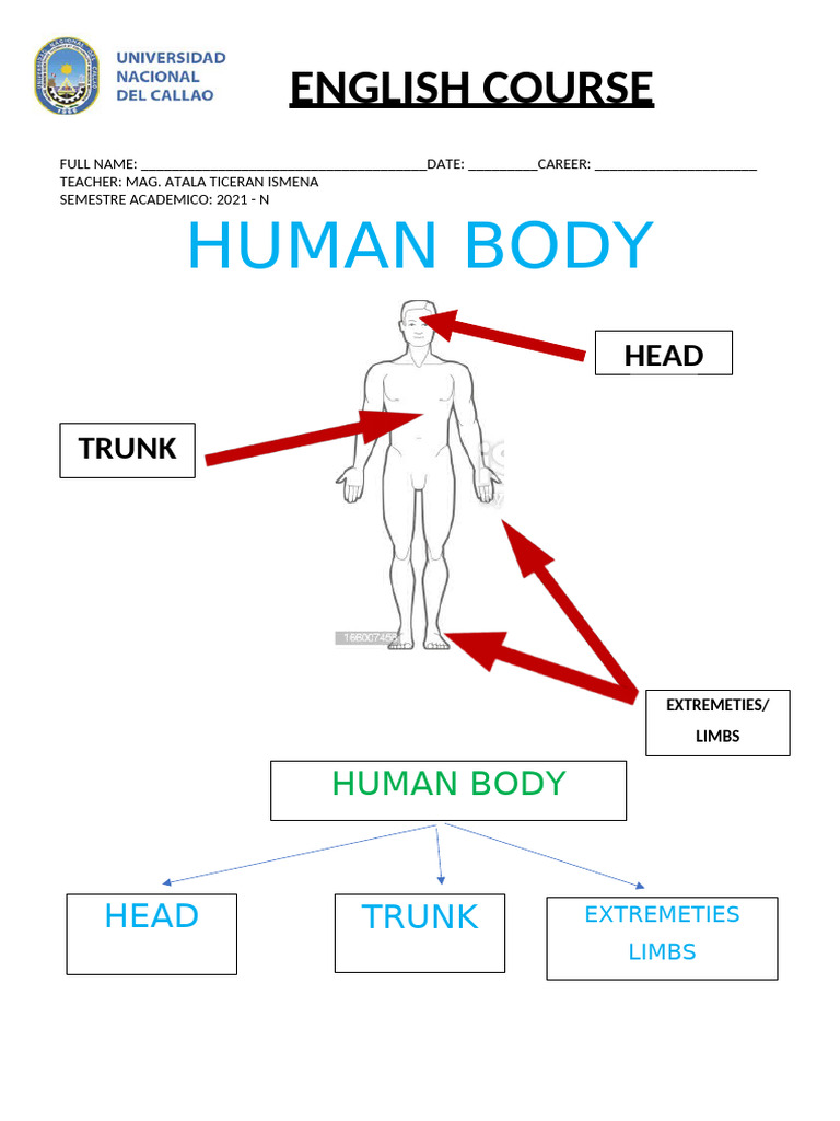 SESION N° 1 - HUMAN BODY | PDF