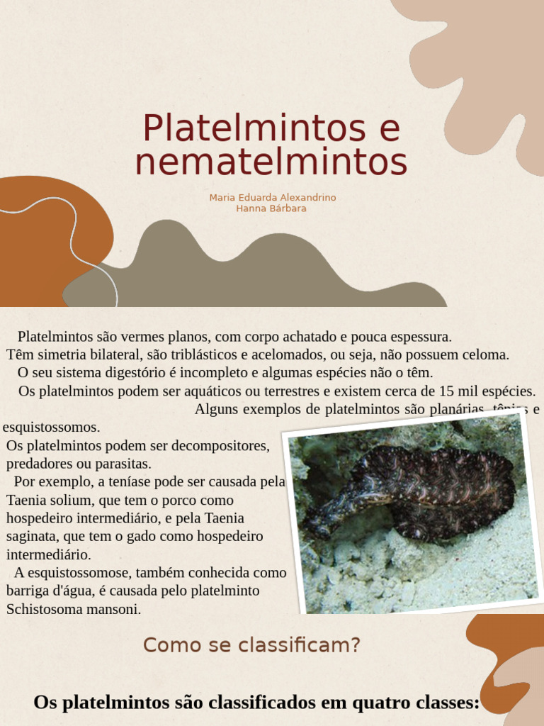 Apresentação Platelmintos e Nematelmintos | PDF
