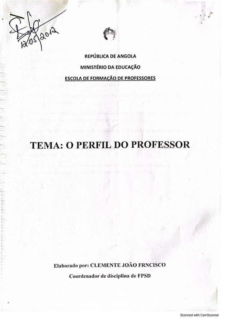 Perfil Do Professor | PDF