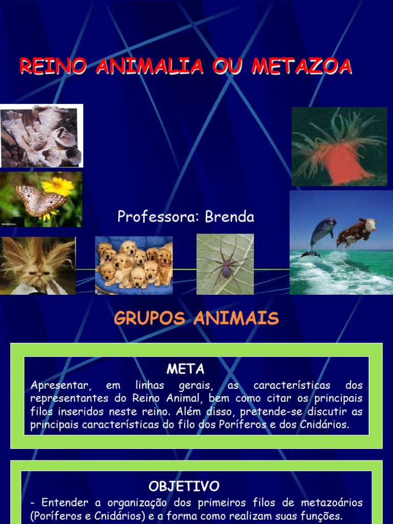 Reino Animalia | PDF