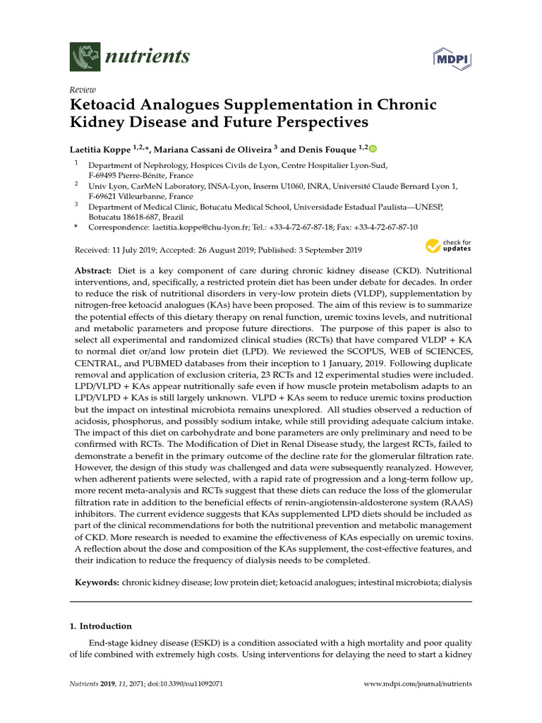 Ketoacid Analogues Supplementation in Chronic | PDF