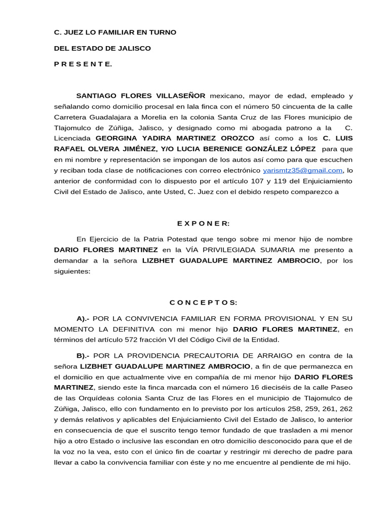 Demanda Final Santi | PDF