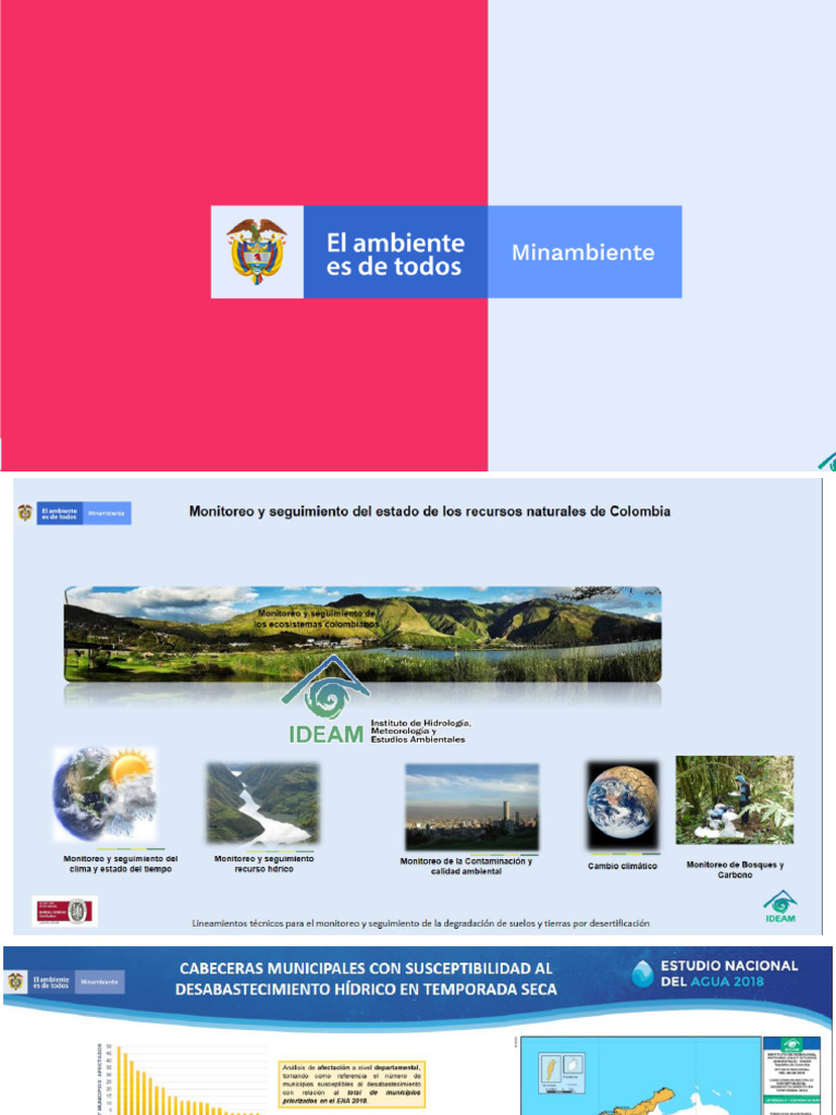 IDEAM Directora | PDF