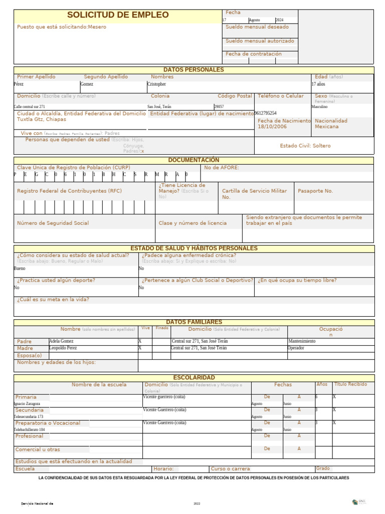Sne Solicitud de Empleo Plantilla PDF | PDF